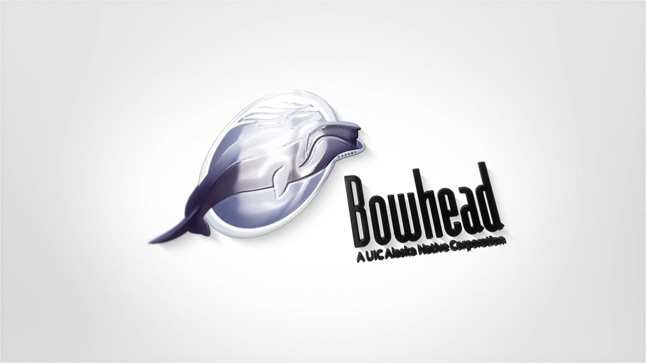 Corporate Testimonial Promo Video - UIC/Bowhead - Video Production ...